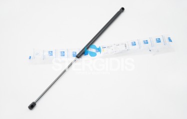 GAAS SPRING FH4 82446230 - Stergidis - Volvo Parts